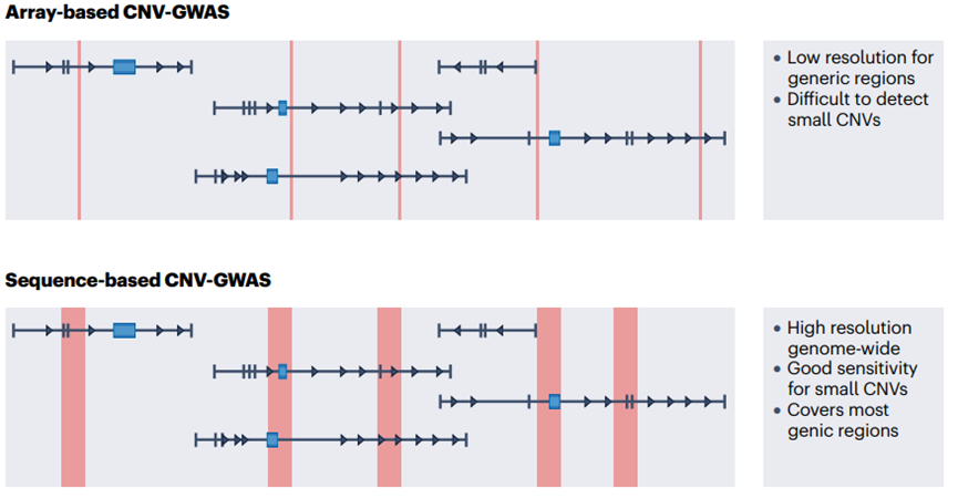 nature reviews genetics | 填补SNP研究空白，CNV-GWAS推动遗传变异全景构建_genome-wide ...