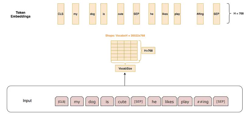 图解 Bert-CSDN博客
