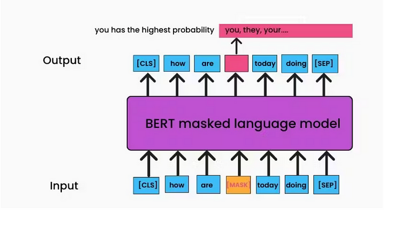一文弄懂Bert模型：什么是Bert ?为什么需要BERT ？BERT模型结构-CSDN博客