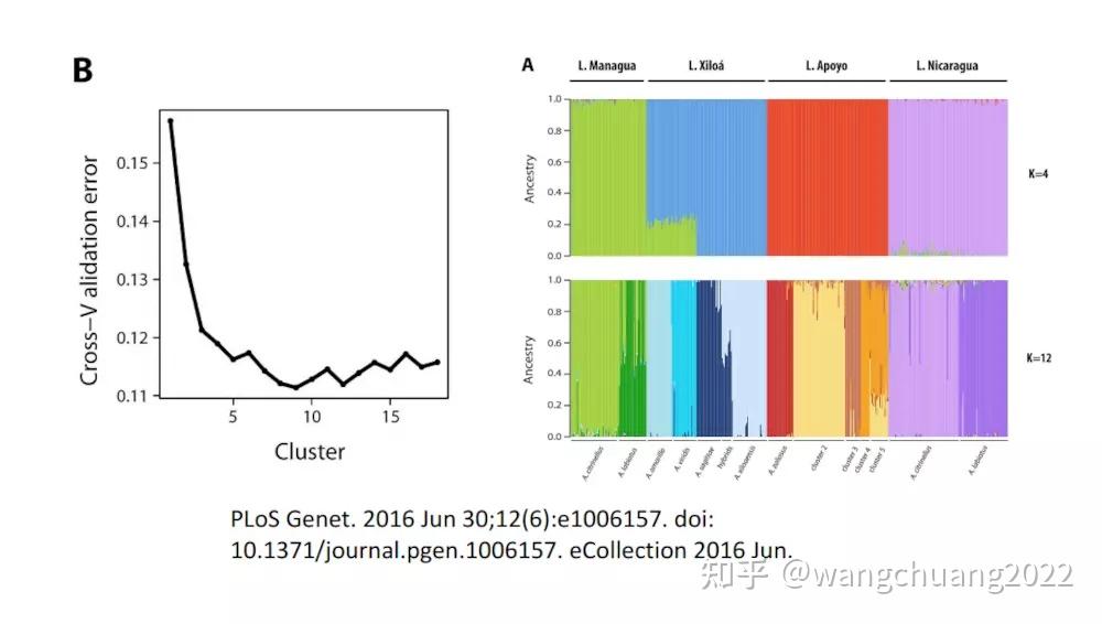 全基因组关联分析（GWAS）-统计方法与模型简介_gwas模型-CSDN博客