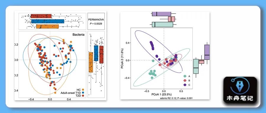 这图怎么画| PCoA可视化+边缘箱线图+PERMANOVA分析-CSDN博客