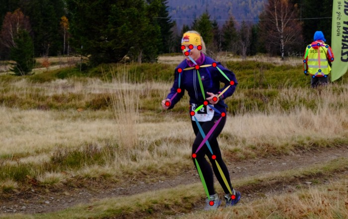 coco关键点标注json_分析COCO数据集进行姿态估计-CSDN博客