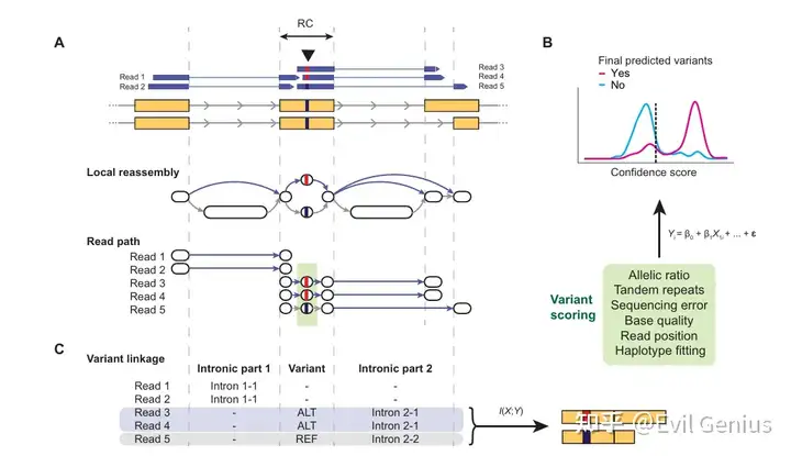 课前准备---单细胞数据检测SNV（变异、插入、缺失、等位基因连锁）_snv分析-CSDN博客