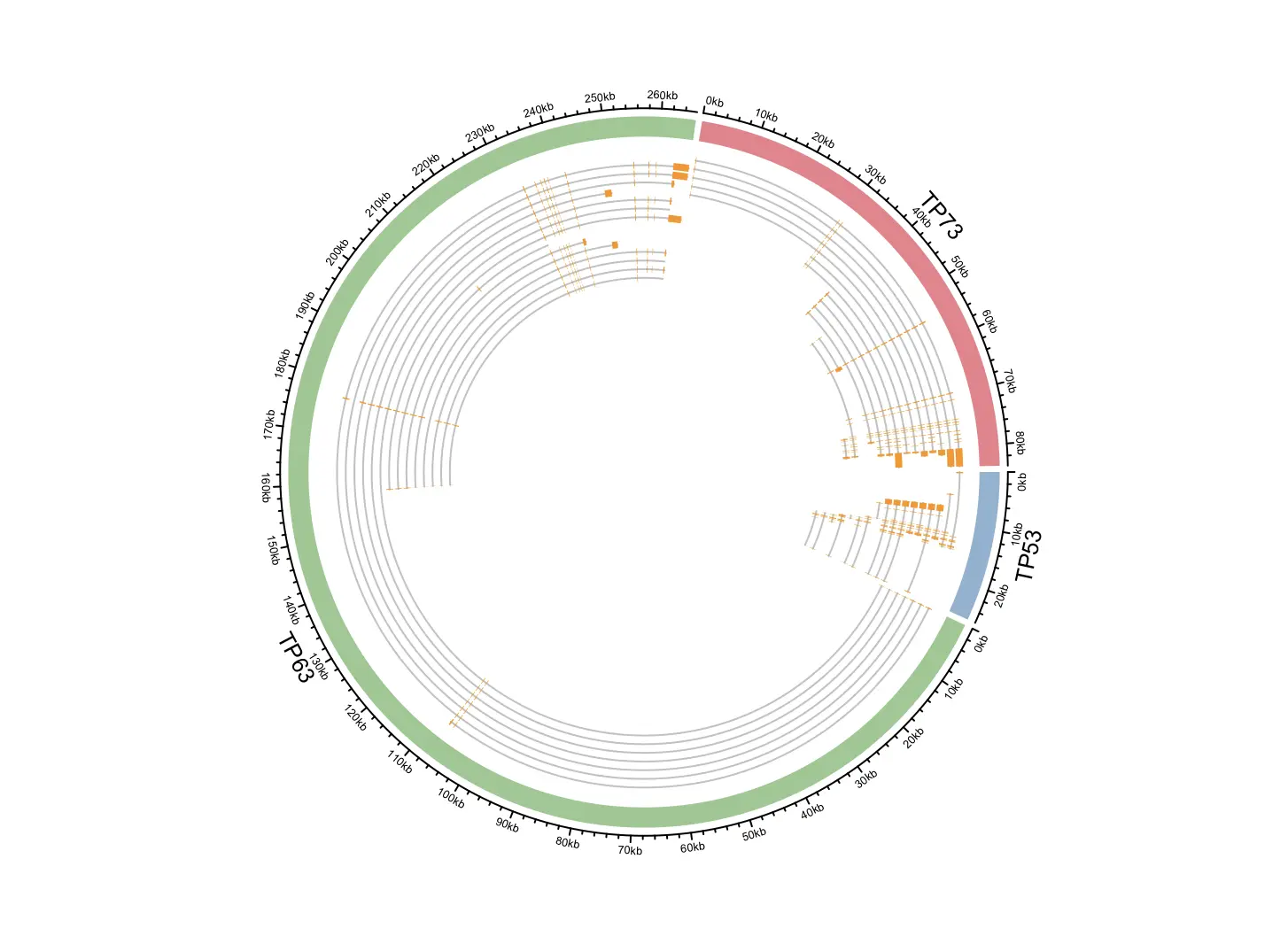 R 数据可视化 —— circlize 基因组初始化_circos.genomictrack-CSDN博客