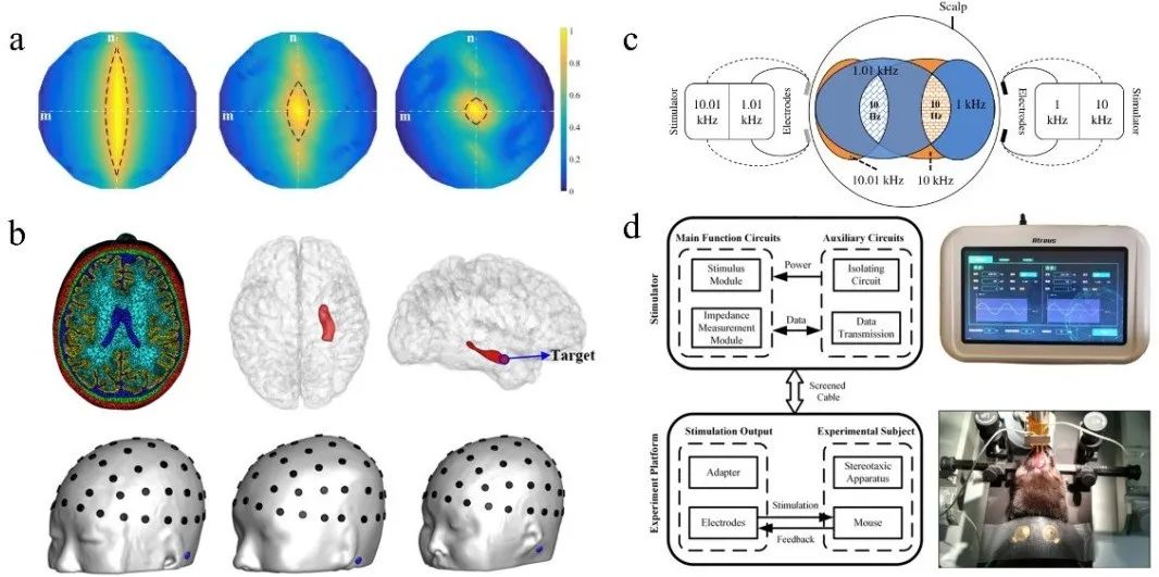 Frontiers综述：一种新型的非侵入式脑刺激技术——时间相干电刺激-CSDN博客
