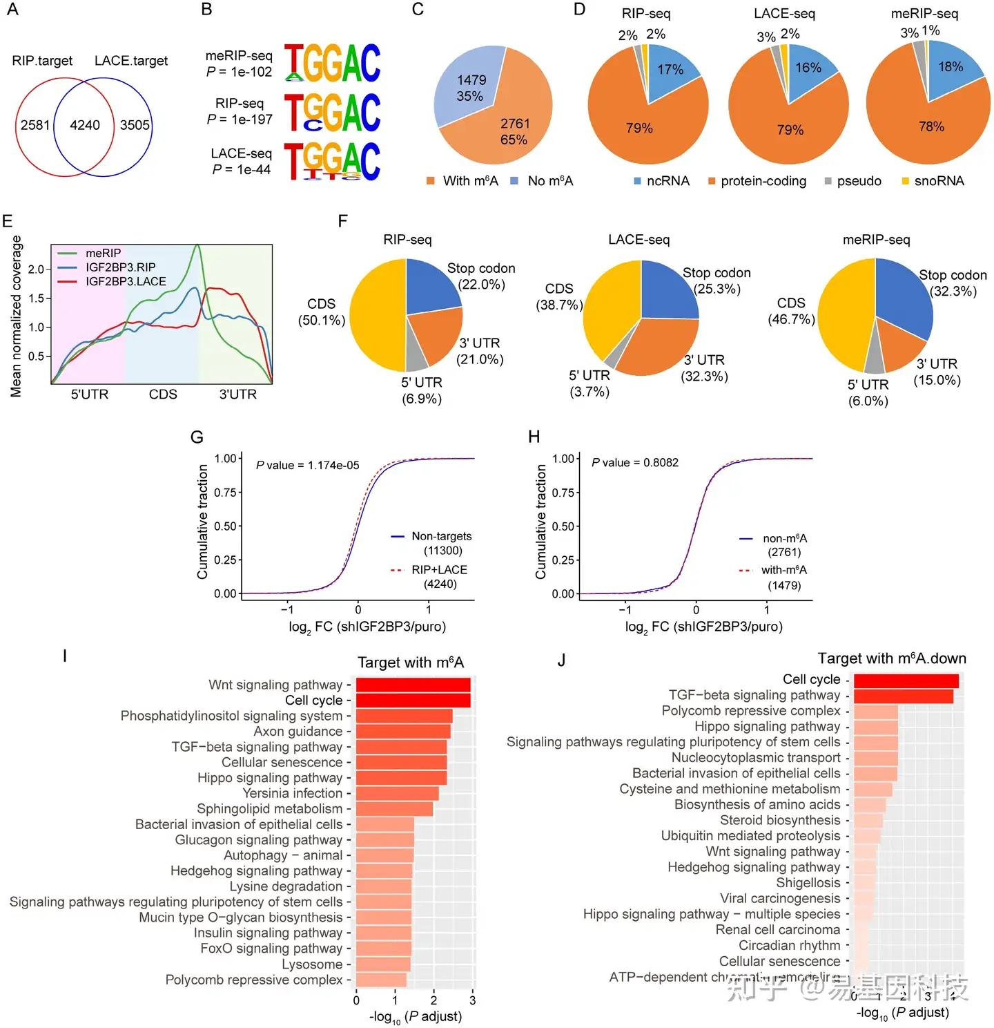 易基因：组学研究：MeRIP-seq等揭示m6A甲基化及调控因子在食管胃结合部腺癌（AEG）中的作用和调控机制_lace seq数据分析-CSDN博客