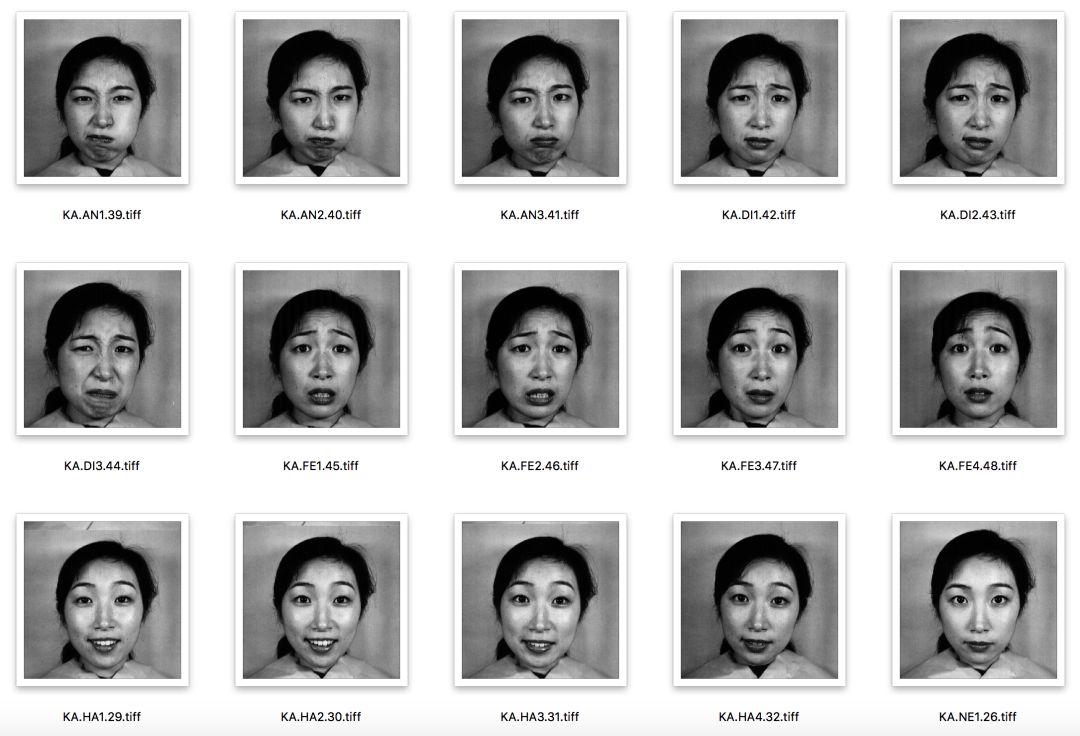 【知识星球】数据集板块重磅发布，海量数据集介绍与下载-CSDN博客