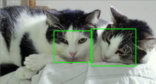 Opencv训练自己的分类器「图像识别」训练猫脸侦测器 Csdn博客