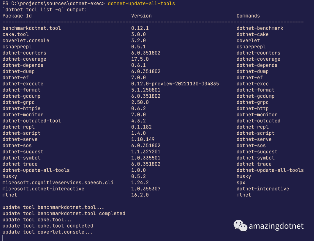 实现一个更新所有 Dotnet Tool 的 Dotnet Tool Csdn博客
