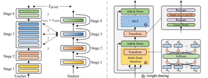 Fast and Effective！一文速览轻量化Transformer各领域研究进展-CSDN博客