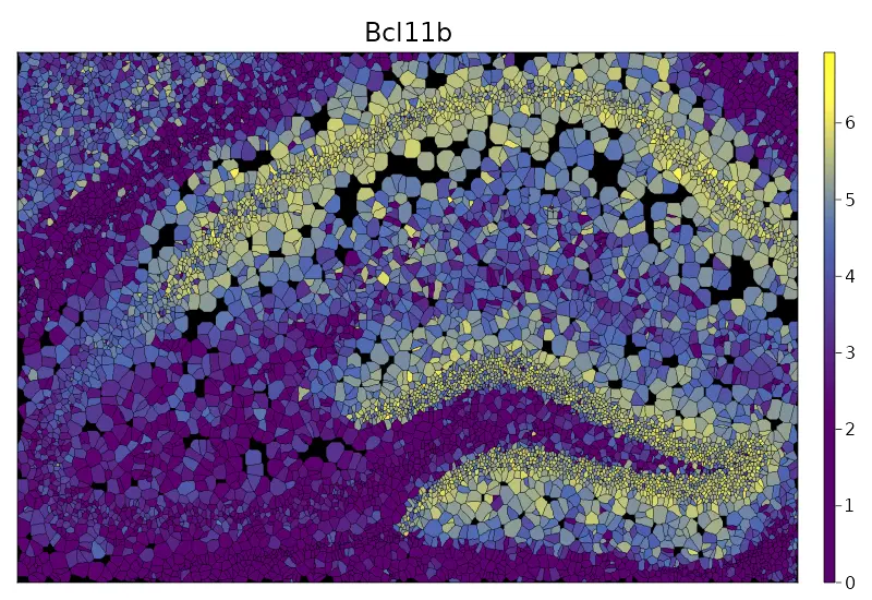 10X空间转录组Visium && HD && Xenium分析全更新_10x visium和hd的区别-CSDN博客