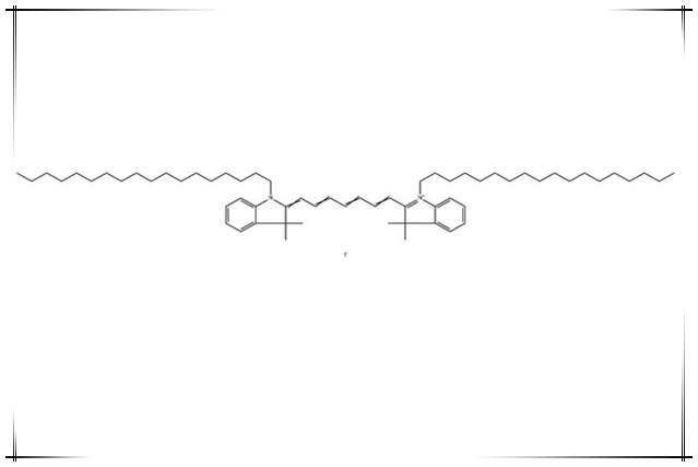 100068-60-8，细胞膜荧光探针DIR，亲脂性的近红外花菁荧光染料，在活体成像中用来示踪_体内成像近红外荧光染料dir-CSDN博客