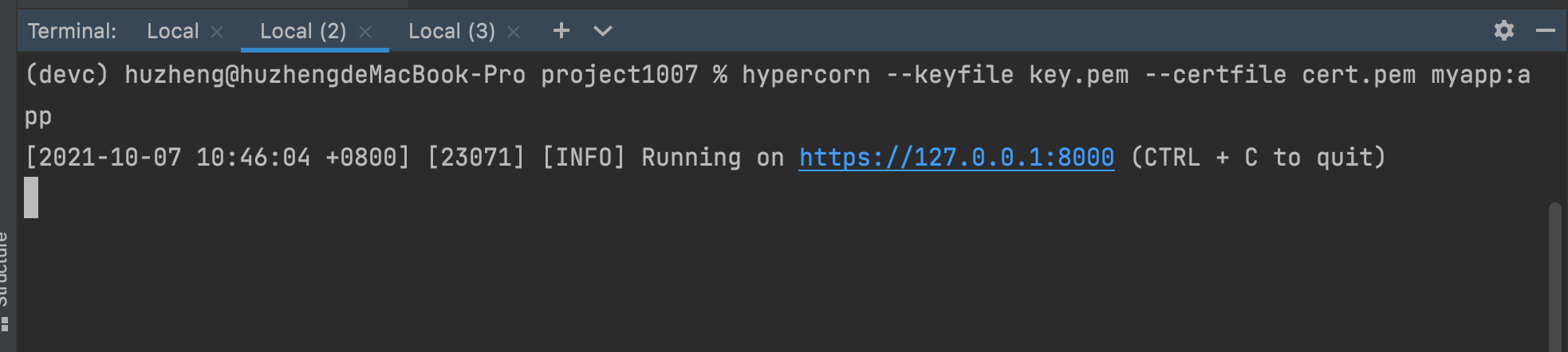 fastapi如何使用http2_hypercorn 启动 fastapi-CSDN博客