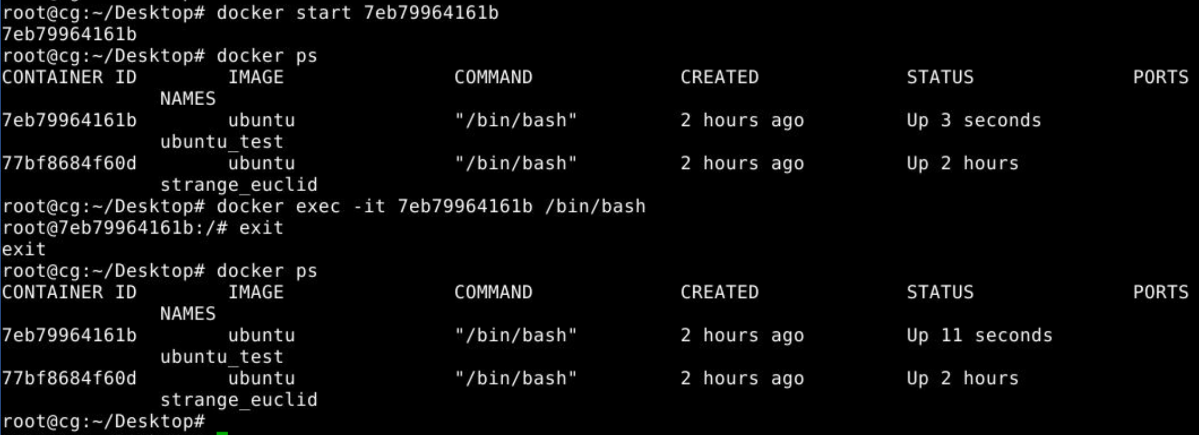 docker容器使用_docker 容器使用-CSDN博客
