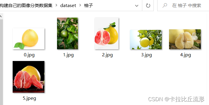 构建自己的图像分类数据集如何制作图像数据集 Csdn博客 