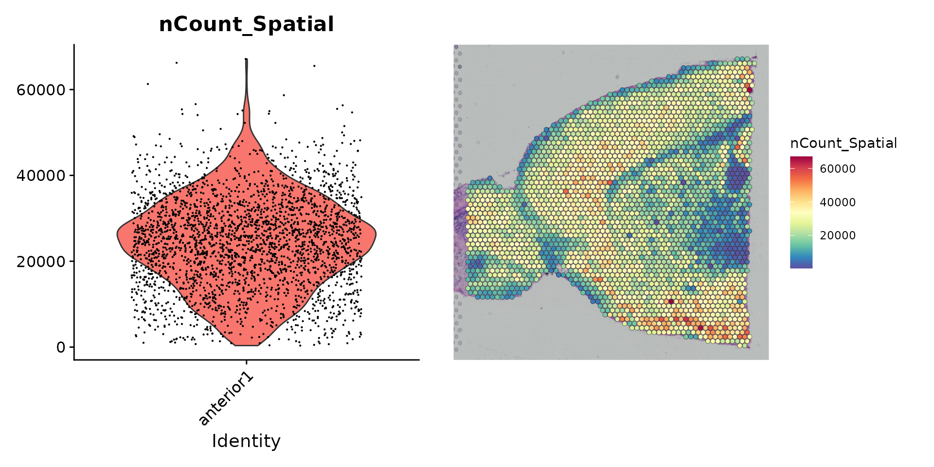 Seurat V5 | 最火的单细胞测序分析工具重磅更新啦！~_seurat5-CSDN博客