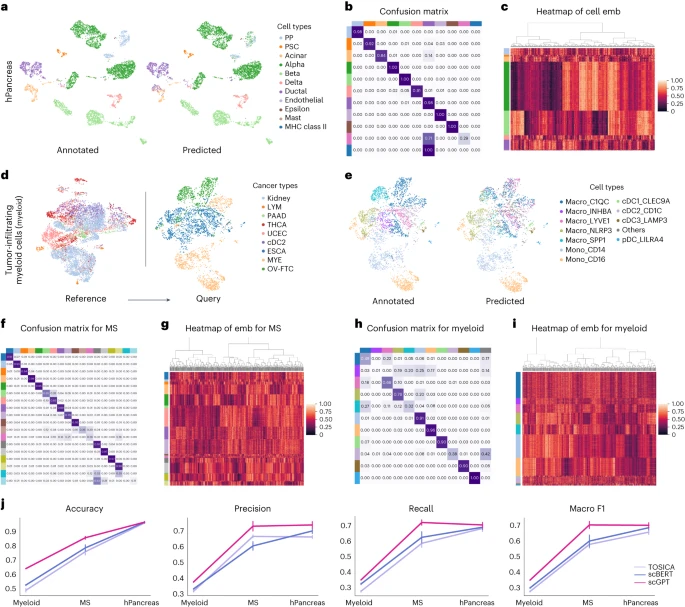 生物大模型文献及代码精读（一）scGPT——3000万细胞的预训练模型？-CSDN博客