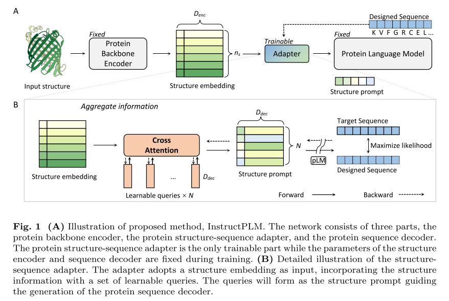InstructPLM_ Aligning Protein Language Models to Follow Protein Structure Instructions-CSDN博客