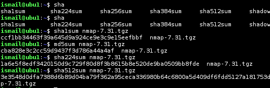 如何在Linux中检查文件的完整性？-CSDN博客