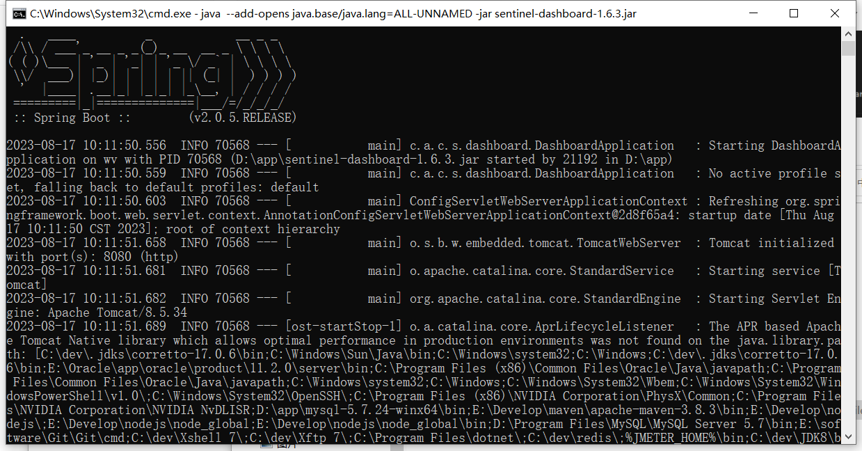 java.lang.IllegalStateException: Cannot load configuration class: com.alibaba.csp.sentinel ...