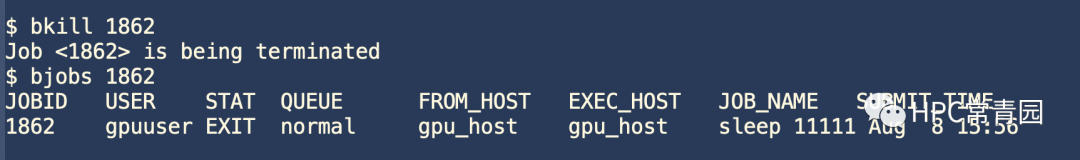 LSF实践专题（22）：如何在LSF中使用GPU资源_lsfg插帧-CSDN博客
