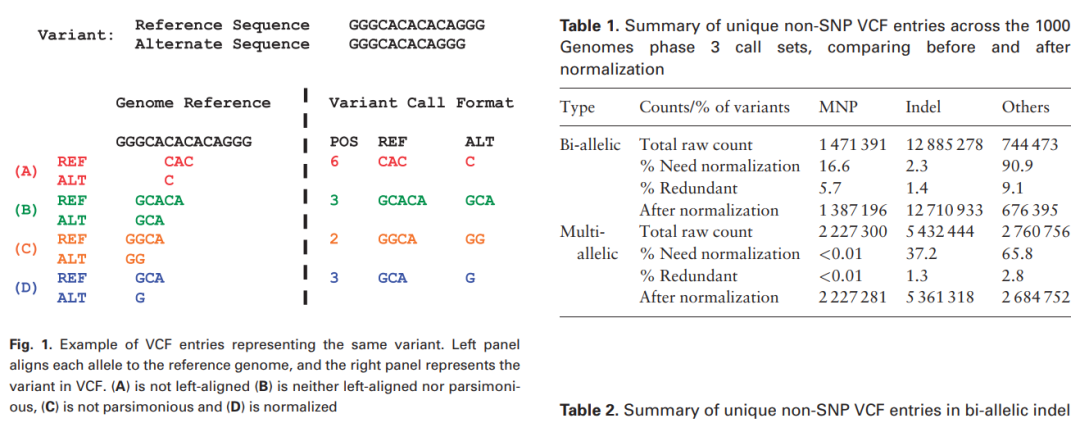 VCF | 多等位基因位点如何拆分？InDel变异如何标准化？-CSDN博客