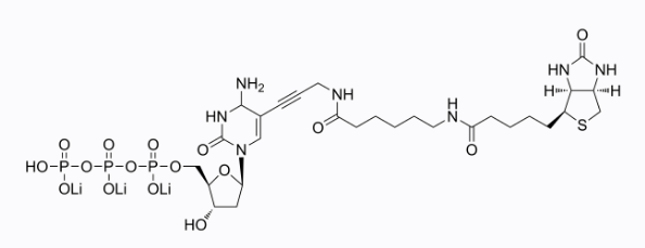 Biotin-11-dCTP，136632-30-9，被酶促掺入DNA/cDNA中，Biotin-X-5-Propargylamino ...