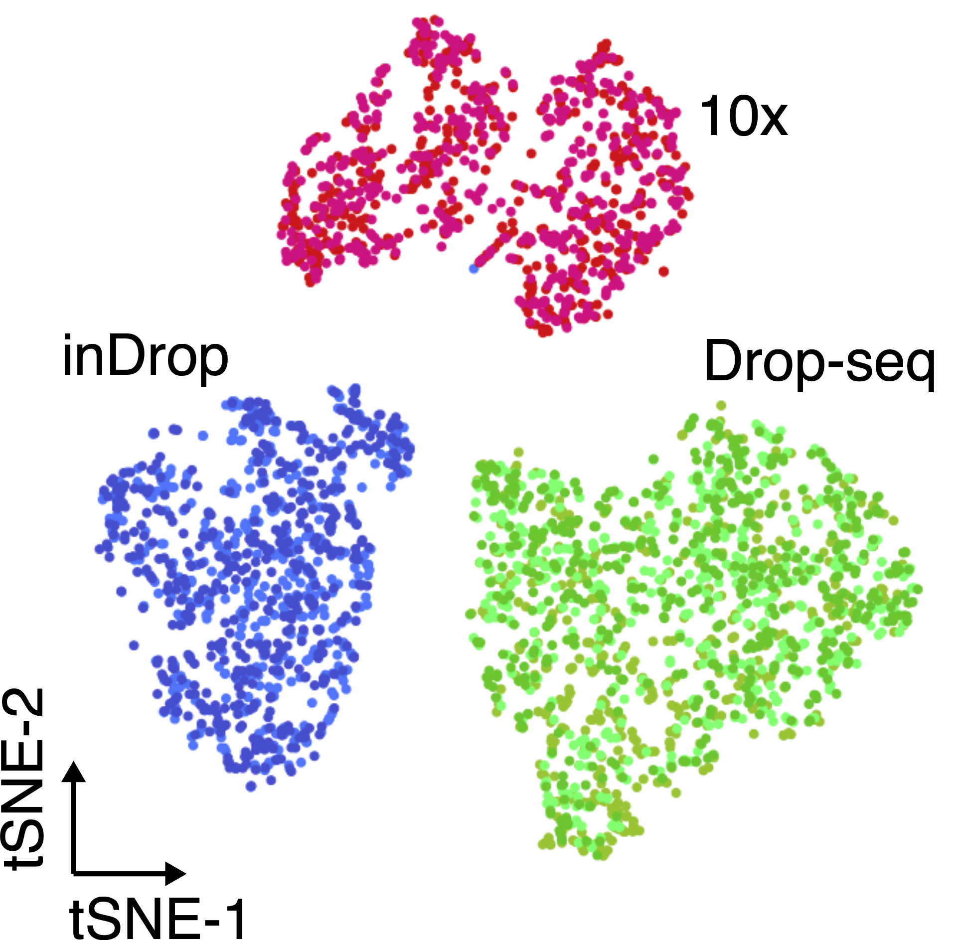 scRNA-seq | 吐血整理的单细胞入门教程（从原理到代码实操）（二）_单细胞测序 代码-CSDN博客