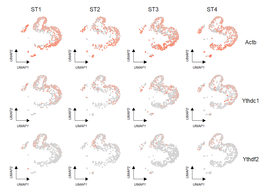 单细胞数据可视化R包 | scRNAtoolVis 0.0.3 版本更新-CSDN博客