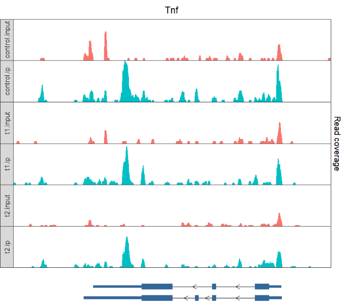 Bigwig 可视化用 tackPlotR 试试看?-CSDN博客
