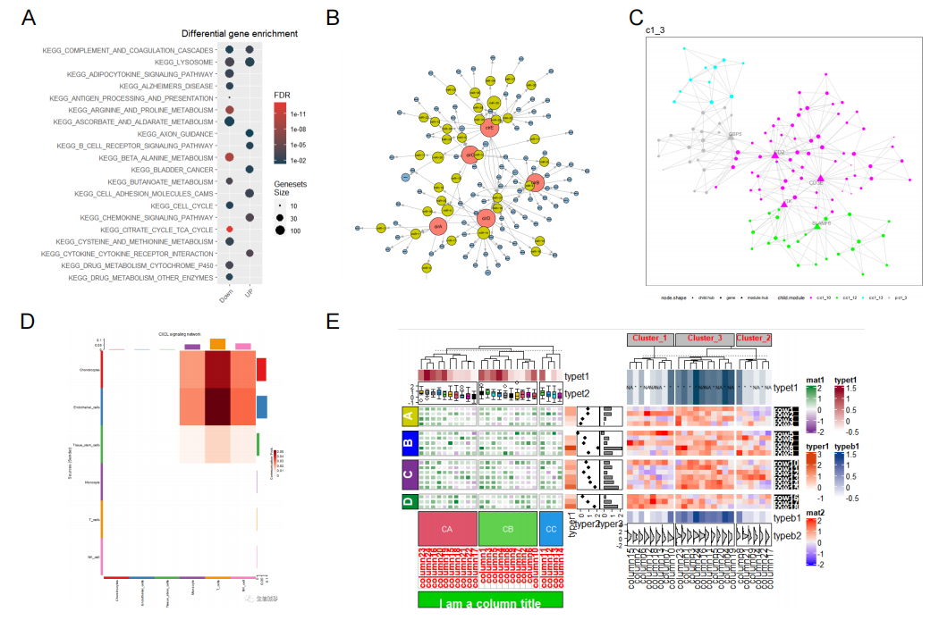 multipanelfigure：使用R语言进行论文图片排版_multipanel figure-CSDN博客