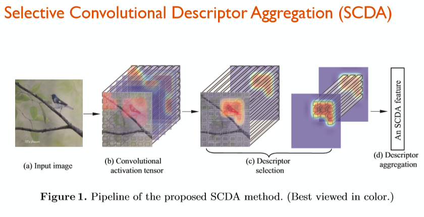 论文精读：Selective Convolutional Descriptor Aggregation_王改改的博客-CSDN博客