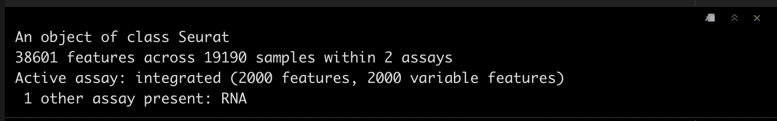 Seurat | 超好用的单细胞测序数据合并（3‘和5‘数据合并）（一）_如何根据celltype整合seurat文件-CSDN博客