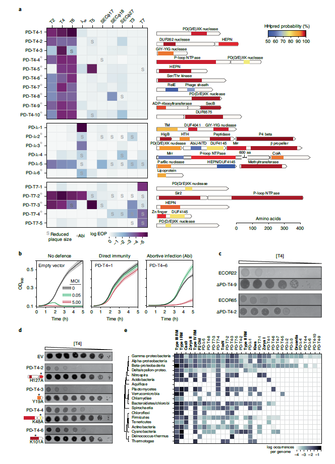 Nat. Microbiol. | 功能选择揭示大肠杆菌泛基因组中未被发现的抗噬菌体防御系统...-CSDN博客