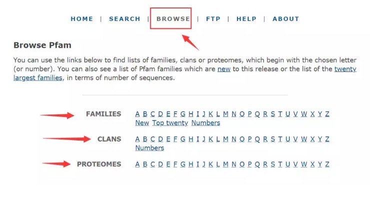 linux下pfam使用方法,pfam数据库介绍及使用-CSDN博客
