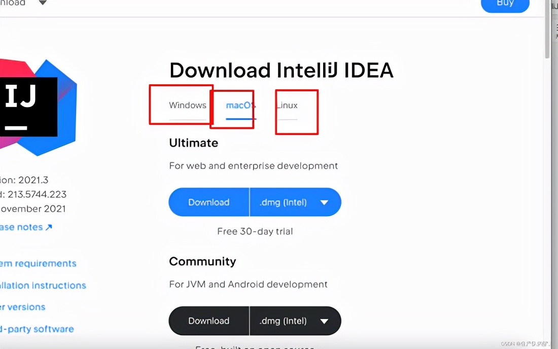 Java编辑器 IntelliJ IDEA下载 和 使用（Mac版）_ij如何查看是普通还是旗舰-CSDN博客