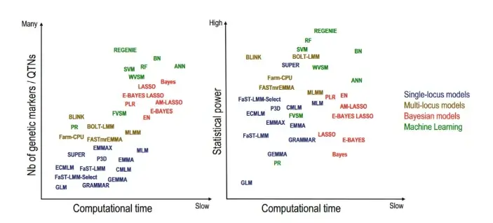 第四章：GWAS中的分析模型介绍和注意要点_多位点gwas-CSDN博客