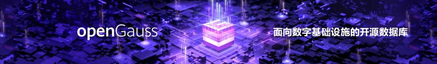 详解opengauss客户端工具gsql的高级用法opengauss数据库命令行连接工具 Csdn博客
