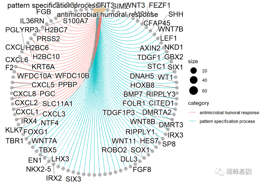 RNA 9. SCI 文章中基因表达之 GO 注释_consider increasing max.overlaps-CSDN博客