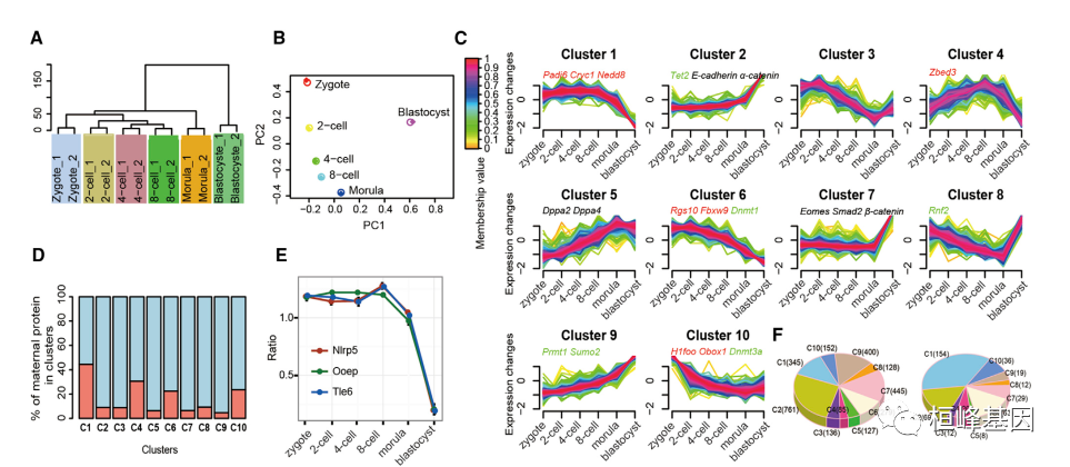 RNA 34. SCI 文章基因蛋白表达时间趋势分析及划分聚类群 (Mfuzz)-CSDN博客