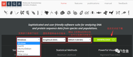 一直在构建版本_利用MEGAX选择模型及构建美化进化树-CSDN博客