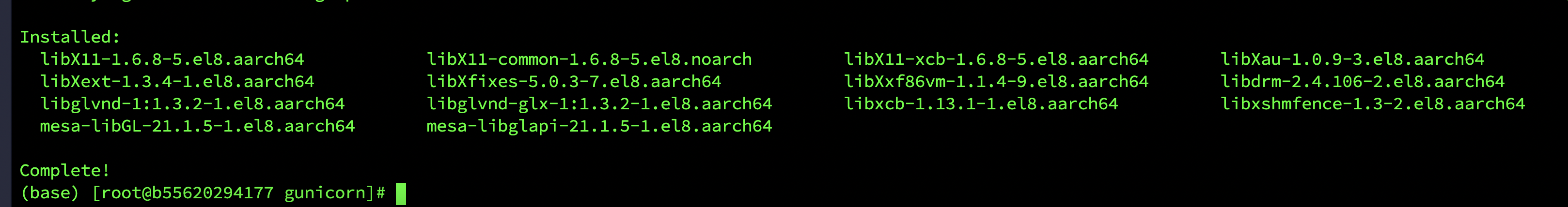 ARM架构构建Python Django项目镜像_python代码arm国产化 minconda-CSDN博客