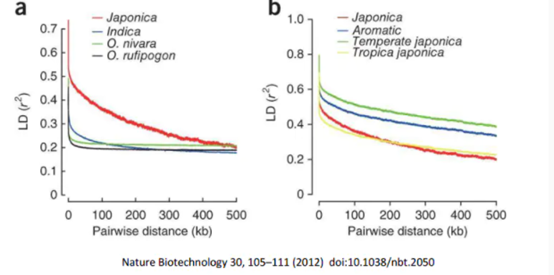 gwas简介-CSDN博客