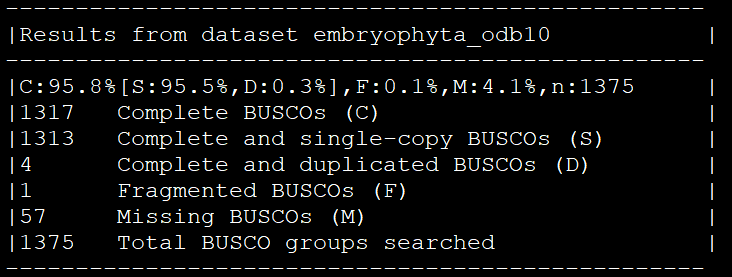 BUSCO4: 从QC到基因预测和系统基因组学-CSDN博客