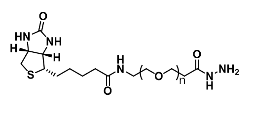 Biotin-PEG-hydrazide，生物素PEG酰肼，可用于分子靶标检测，Hz-PEG-Biotin_biotin-peg6-hydrazide-CSDN博客