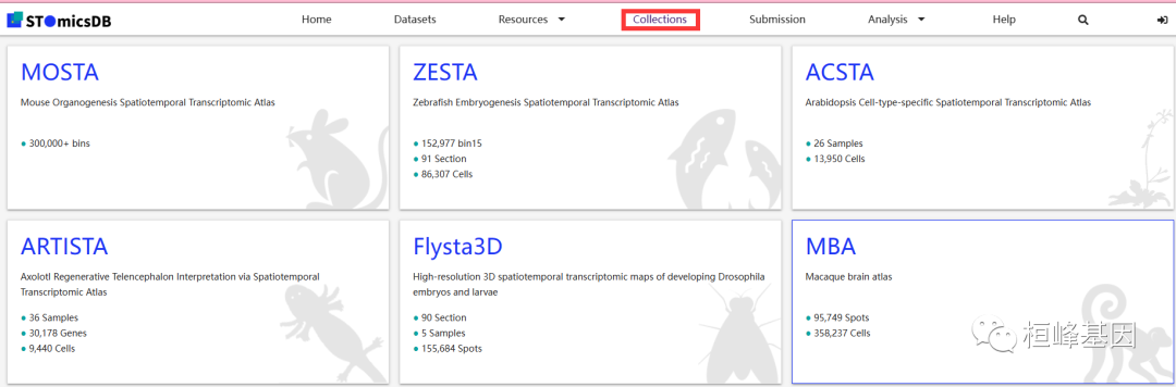 SCS【30】单细胞空间转录组学数据库(STOmics DB)-CSDN博客