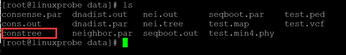 linux下phylip软件构建NJ树,利用phylip软件对SNP数据构建进化树_榴莲炸酱的博客-CSDN博客