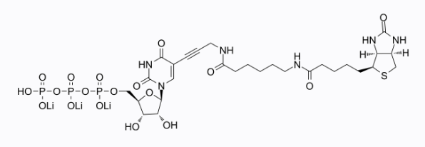 Biotin-11-UTP，生物素标记的尿苷三磷酸，可用作标记 RNA 探针_生物素标记的utp-CSDN博客