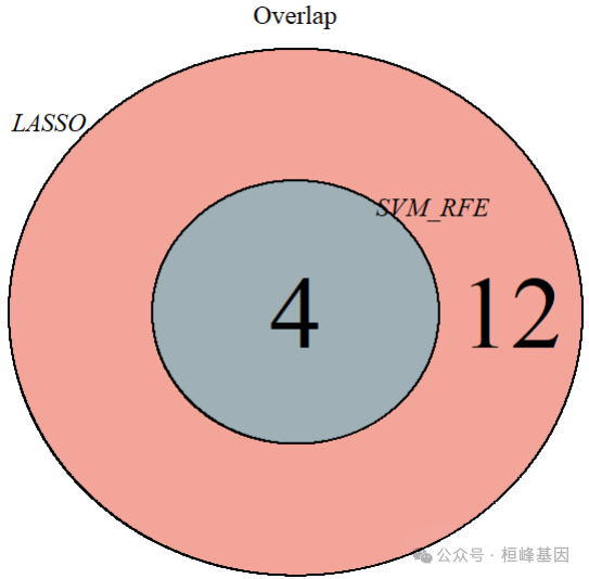 MachineLearning 32. 机器学习之支持向量机递归特征消除的特征筛选 (mSVM-RFE)-CSDN博客